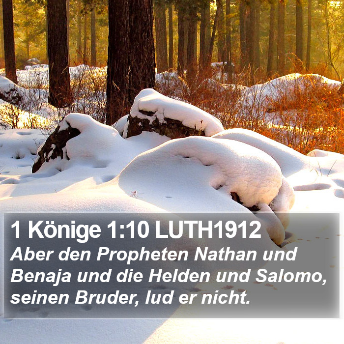 1 Könige 1:10 LUTH1912 - Aber den Propheten Nathan und Benaja und die