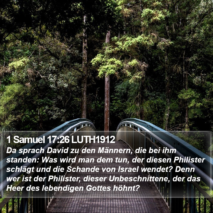 1 Samuel 17:26 LUTH1912 - Da sprach David zu den Männern, die bei ihm