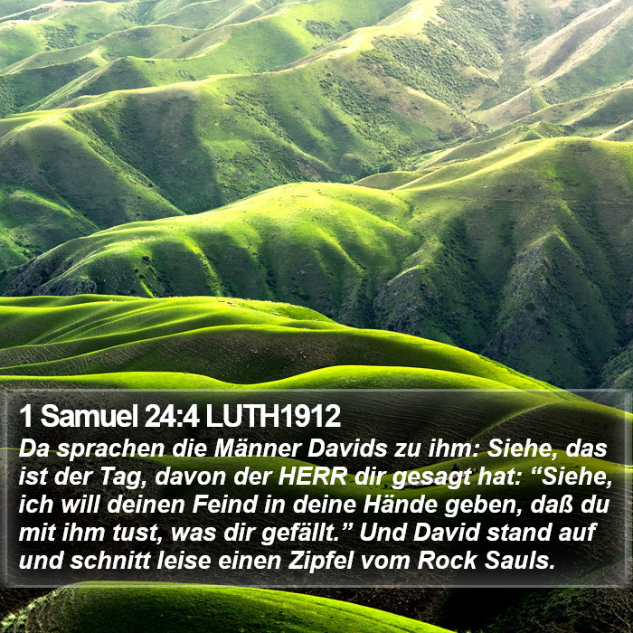 1 Samuel 24:4 LUTH1912 - Da sprachen die Männer Davids zu ihm: Siehe, das