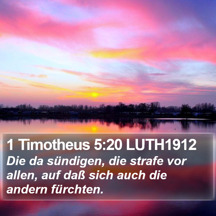 1 Timotheus 5:20 LUTH1912 - Die da sündigen, die strafe vor allen, auf daß