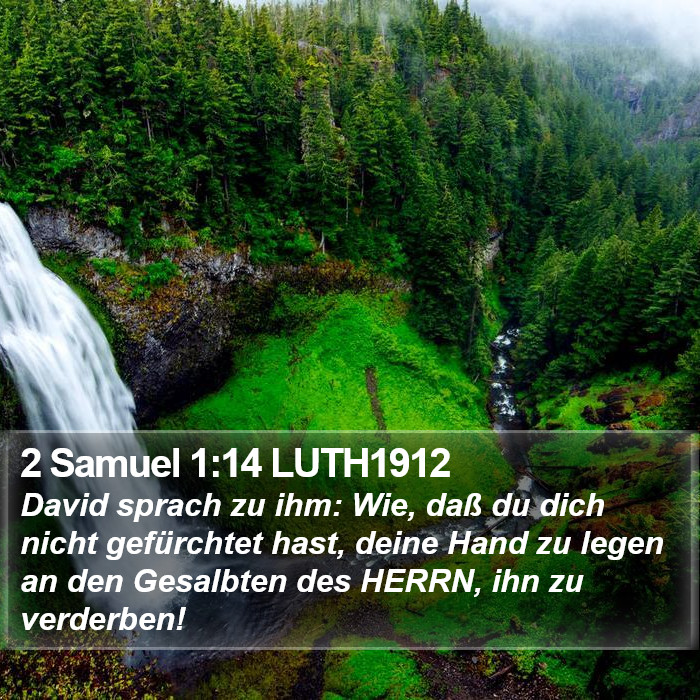 2 Samuel 1:14 LUTH1912 - David sprach zu ihm: Wie, daß du dich nicht