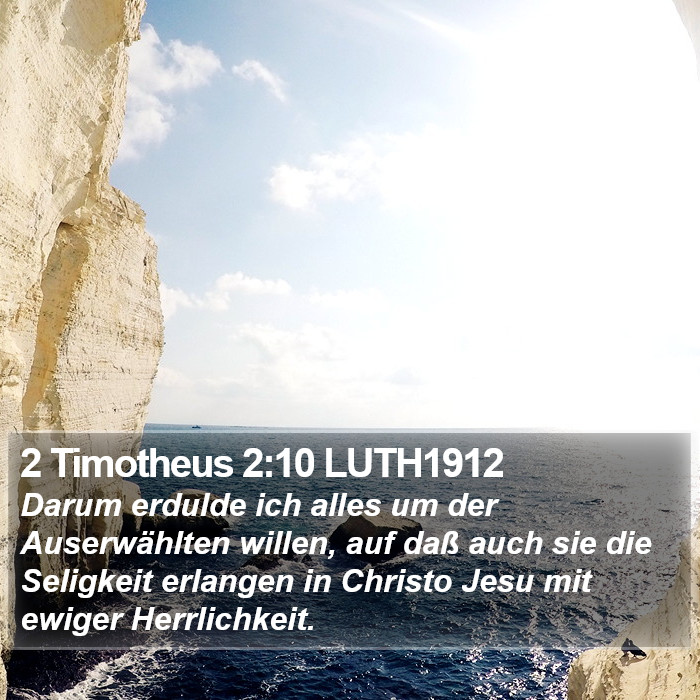 2 Timotheus 2:10 LUTH1912 - Darum erdulde ich alles um der Auserwählten