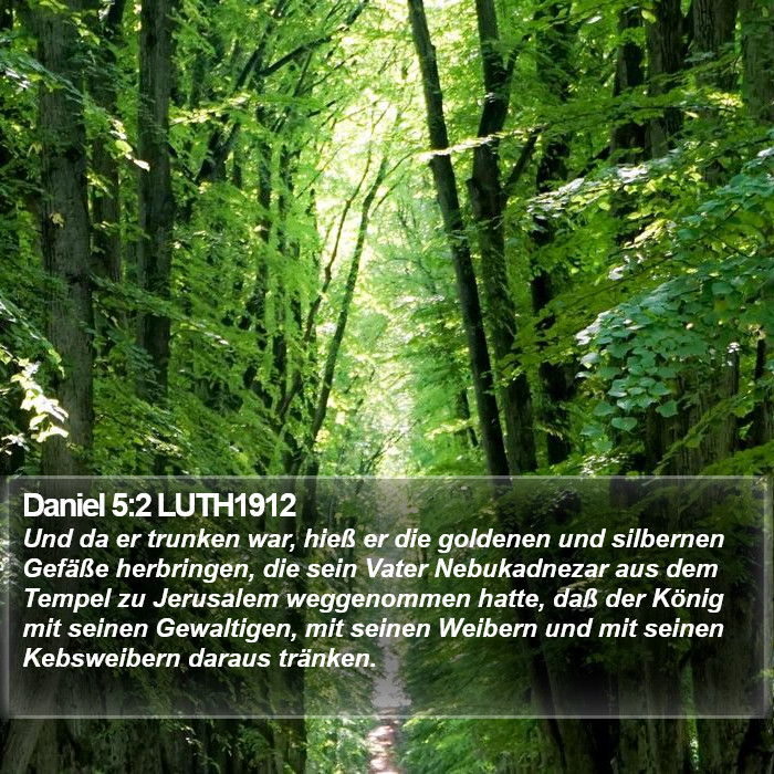 Daniel 5:2 LUTH1912 - Und da er trunken war, hieß er die goldenen und