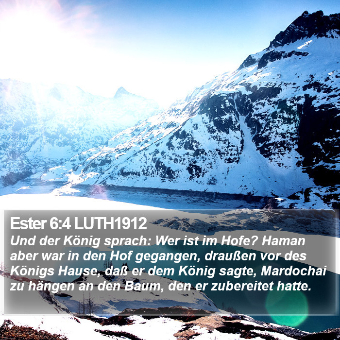 Ester 6:4 LUTH1912 - Und der König sprach: Wer ist im Hofe? Haman