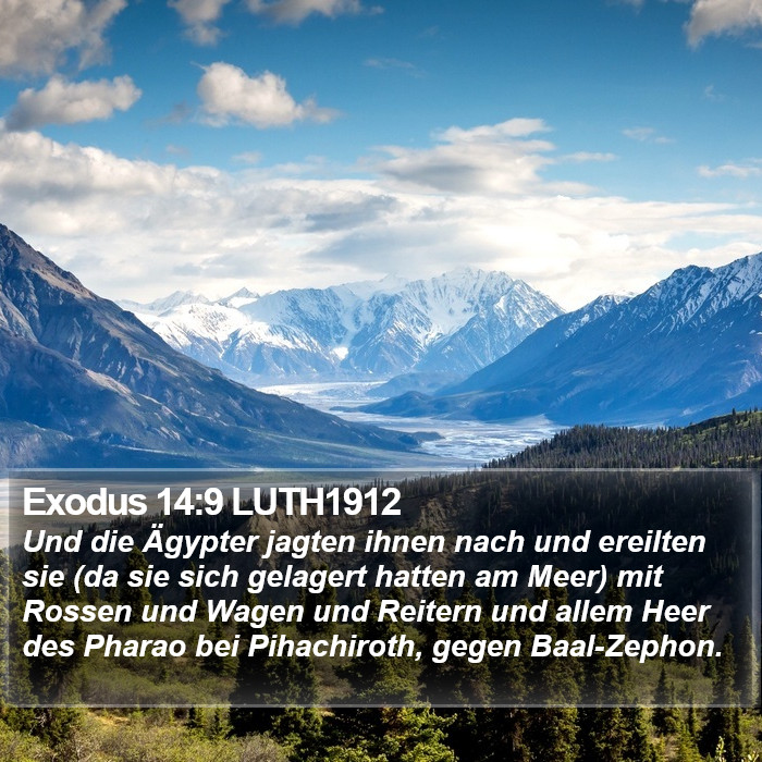 Exodus 14:9 LUTH1912 - Und die Ägypter jagten ihnen nach und ereilten