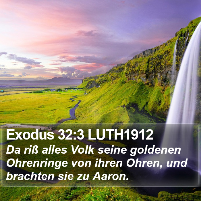 Exodus 32:3 LUTH1912 - Da riß alles Volk seine goldenen Ohrenringe von