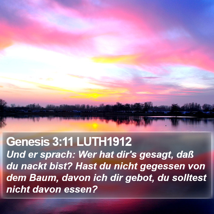 Genesis 3:11 LUTH1912 - Und er sprach: Wer hat dir's gesagt, daß du