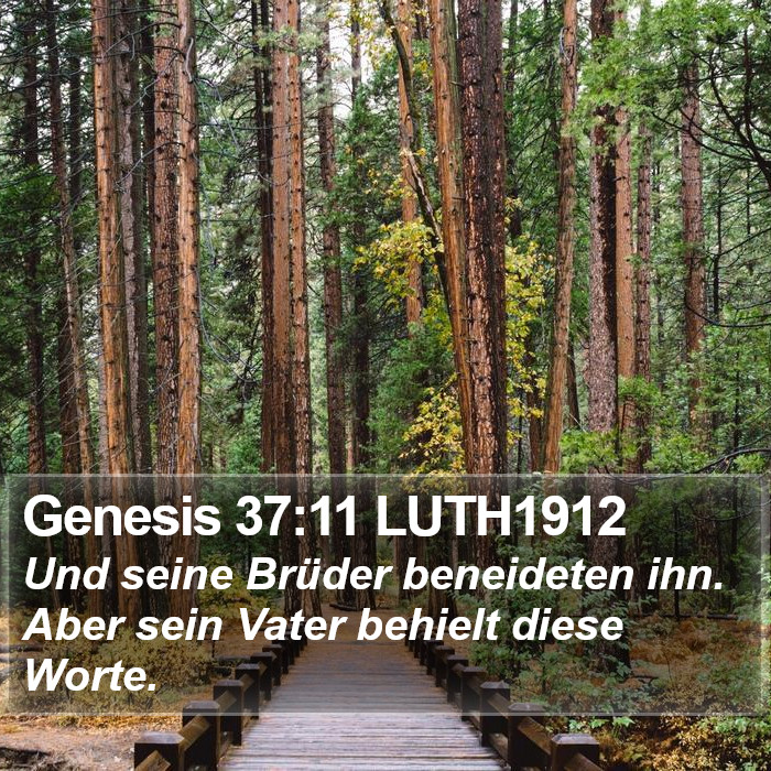 Genesis 37:11 LUTH1912 - Und seine Brüder beneideten ihn. Aber sein Vater