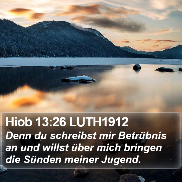 Hiob 13:26 LUTH1912 - Denn du schreibst mir Betrübnis an und willst