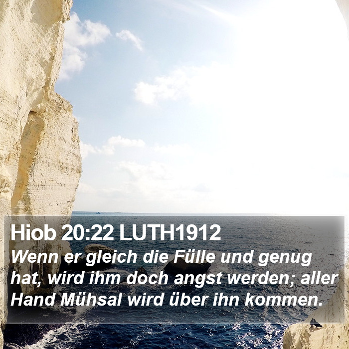 Hiob 20:22 LUTH1912 - Wenn er gleich die Fülle und genug hat, wird ihm