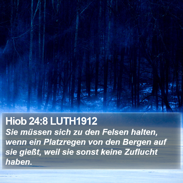 Hiob 24:8 LUTH1912 - Sie müssen sich zu den Felsen halten, wenn ein