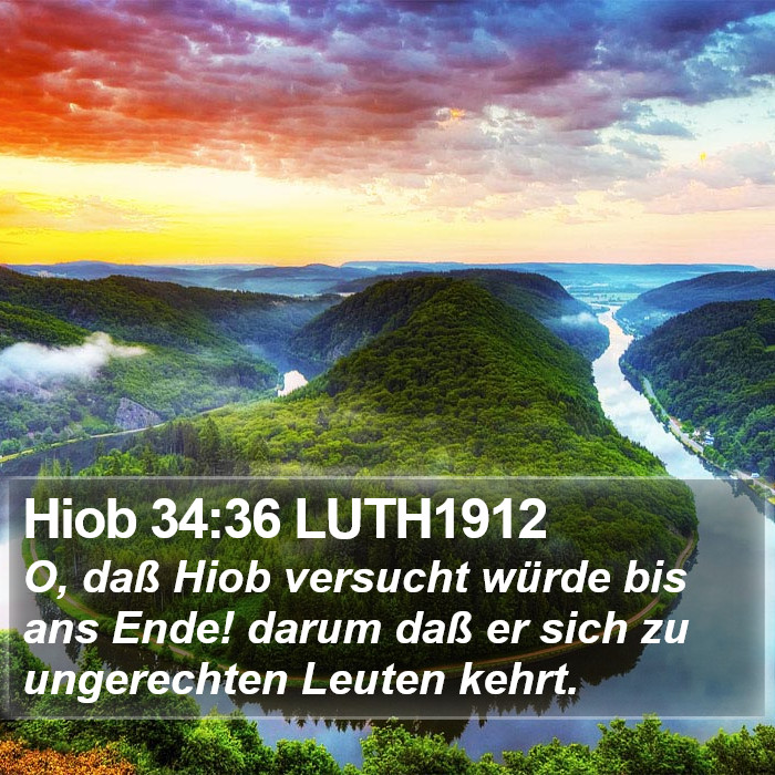 Hiob 34:36 LUTH1912 - O, daß Hiob versucht würde bis ans Ende! darum