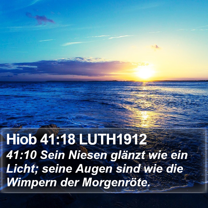 Hiob 41:18 LUTH1912 - 41:10 Sein Niesen glänzt wie ein Licht; seine
