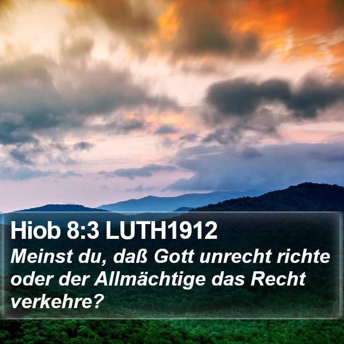 Hiob 8:3 LUTH1912 - Meinst du, daß Gott unrecht richte oder der