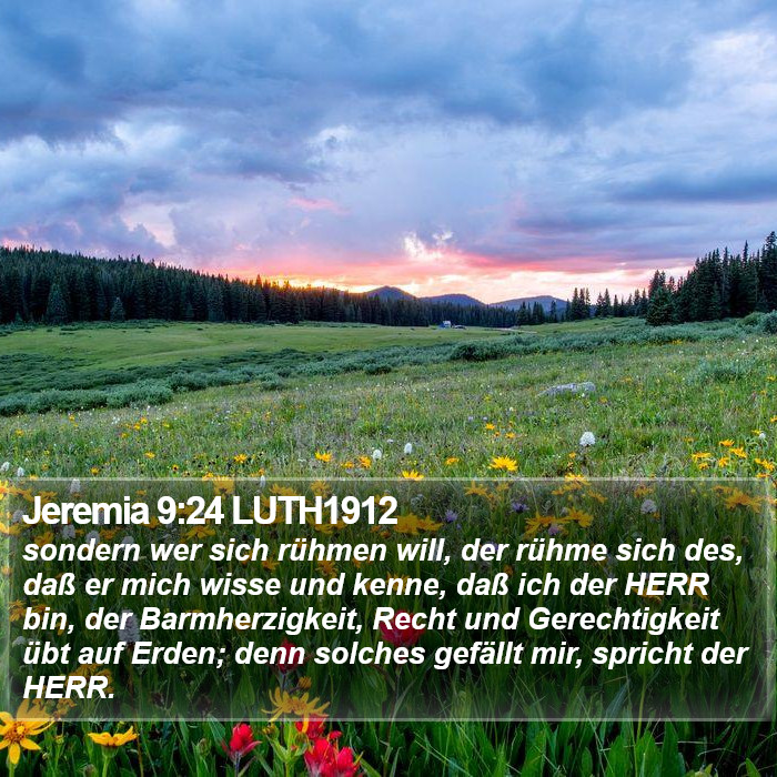 Jeremia 9:24 LUTH1912 - sondern wer sich rühmen will, der rühme sich