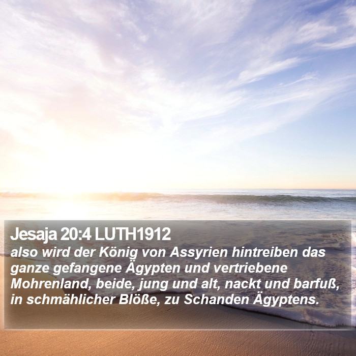Jesaja 20:4 LUTH1912 - also wird der König von Assyrien hintreiben das
