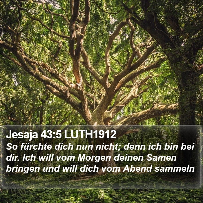 Jesaja 43:5 LUTH1912 - So fürchte dich nun nicht; denn ich bin bei dir.
