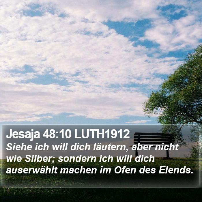 Jesaja 48:10 LUTH1912 - Siehe ich will dich läutern, aber nicht wie