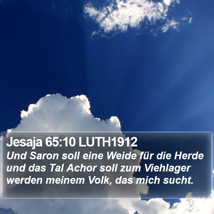 Jesaja 65:10 LUTH1912 - Und Saron soll eine Weide für die Herde und das