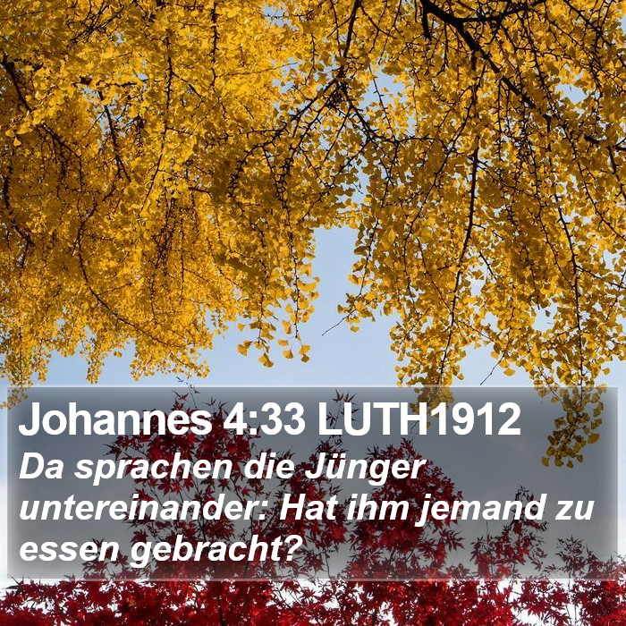 Johannes 4:33 LUTH1912 - Da sprachen die Jünger untereinander: Hat ihm