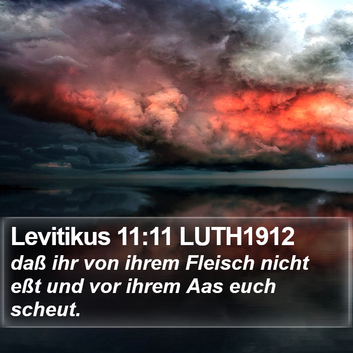 Levitikus 11:11 LUTH1912 - daß ihr von ihrem Fleisch nicht eßt und vor