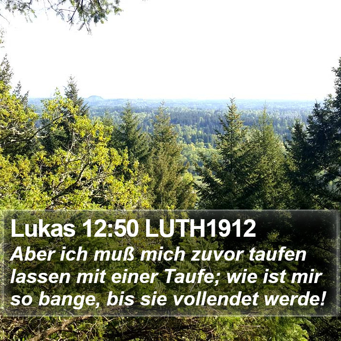 Lukas 12:50 LUTH1912 - Aber ich muß mich zuvor taufen lassen mit einer