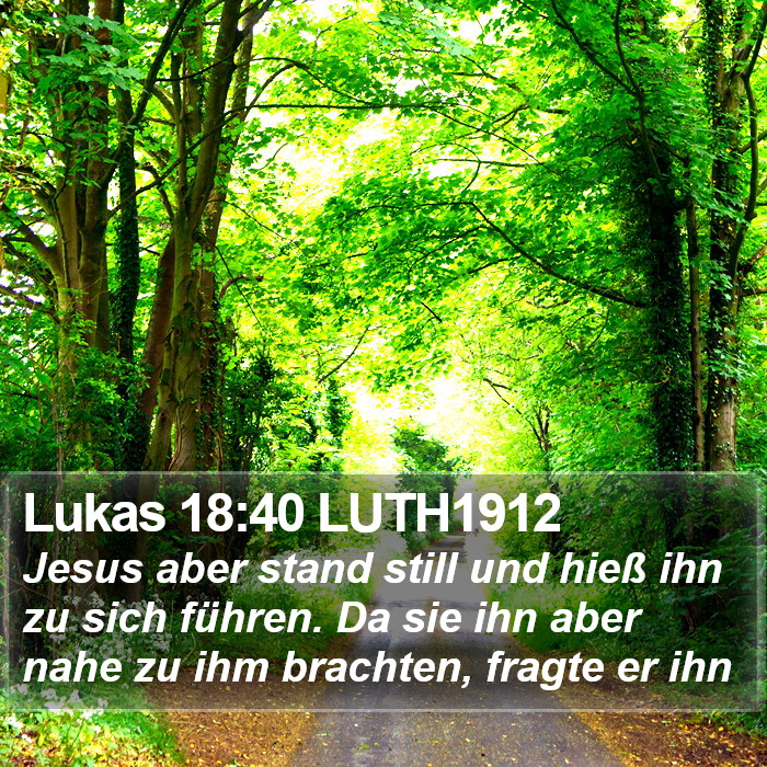Lukas 18:40 LUTH1912 - Jesus aber stand still und hieß ihn zu sich