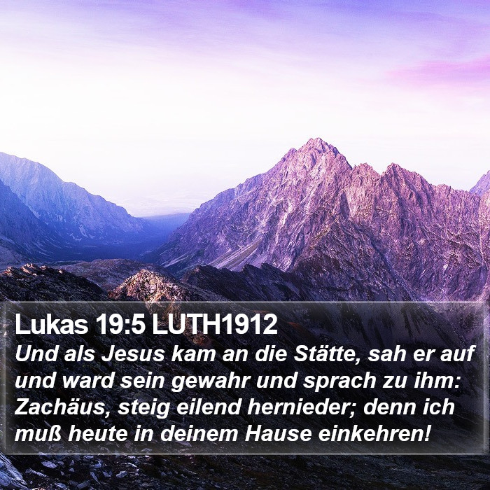 Lukas 19:5 LUTH1912 - Und als Jesus kam an die Stätte, sah er auf und