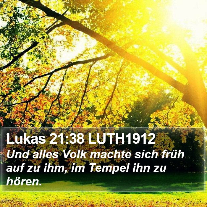 Lukas 21:38 LUTH1912 - Und alles Volk machte sich früh auf zu ihm, im