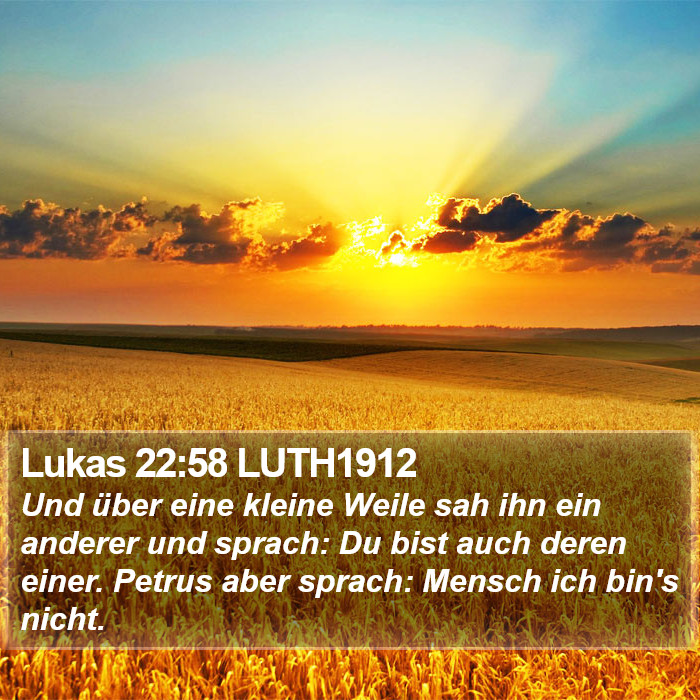 Lukas 22:58 LUTH1912 - Und über eine kleine Weile sah ihn ein anderer