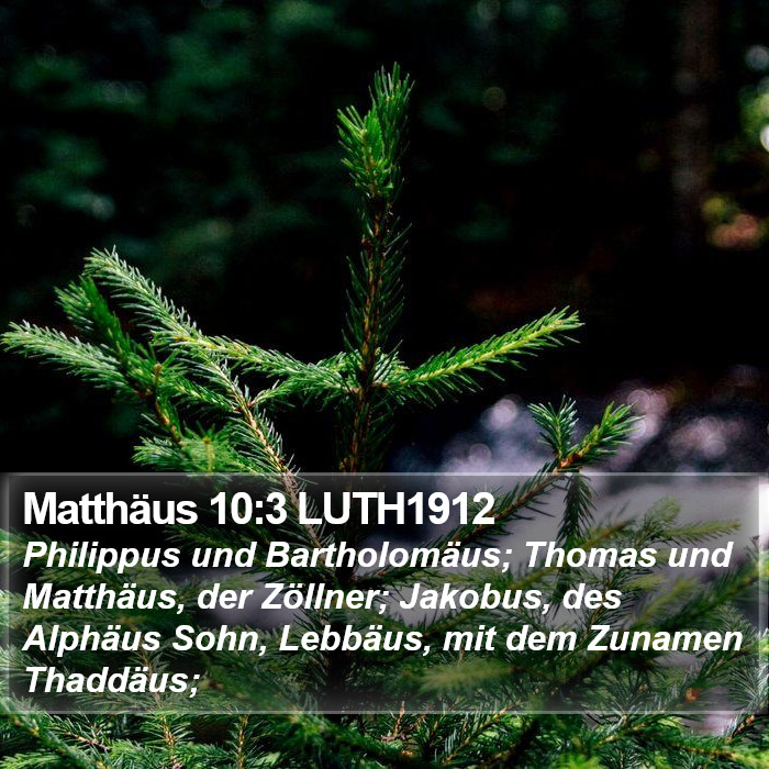 Matthäus 10:3 LUTH1912 - Philippus und Bartholomäus; Thomas und