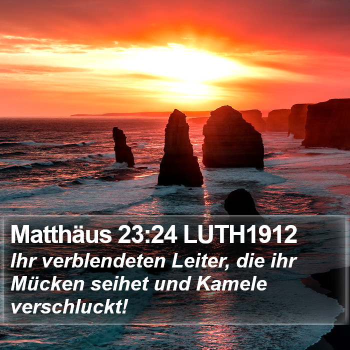 Matthäus 23:24 LUTH1912 - Ihr verblendeten Leiter, die ihr Mücken seihet