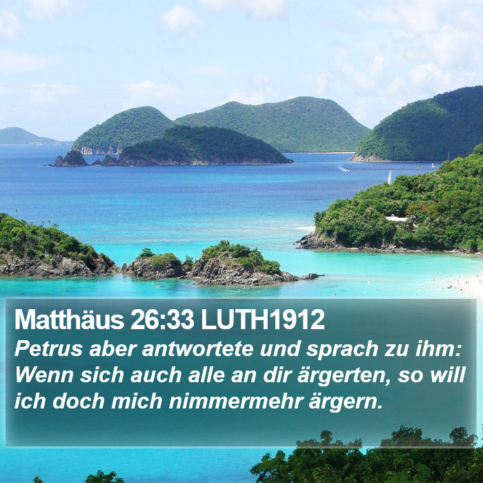 Matthäus 26:33 LUTH1912 - Petrus aber antwortete und sprach zu ihm: Wenn