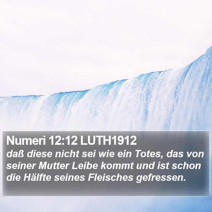 Numeri 12:12 LUTH1912 - daß diese nicht sei wie ein Totes, das von