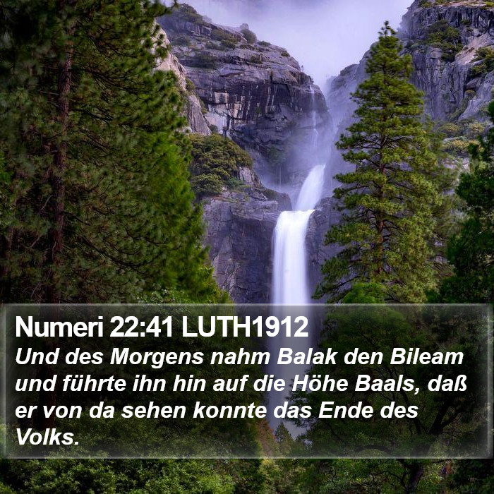 Numeri 22:41 LUTH1912 - Und des Morgens nahm Balak den Bileam und führte