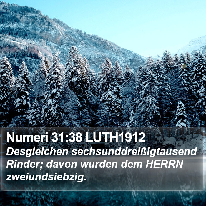 Numeri 31:38 LUTH1912 - Desgleichen sechsunddreißigtausend Rinder; davon