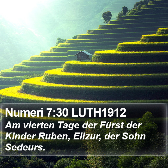 Numeri 7:30 LUTH1912 - Am vierten Tage der Fürst der Kinder Ruben,
