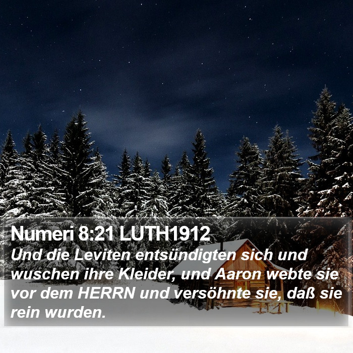 Numeri 8:21 LUTH1912 - Und die Leviten entsündigten sich und wuschen