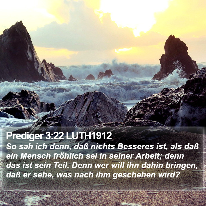 Prediger 3:22 LUTH1912 - So sah ich denn, daß nichts Besseres ist, als