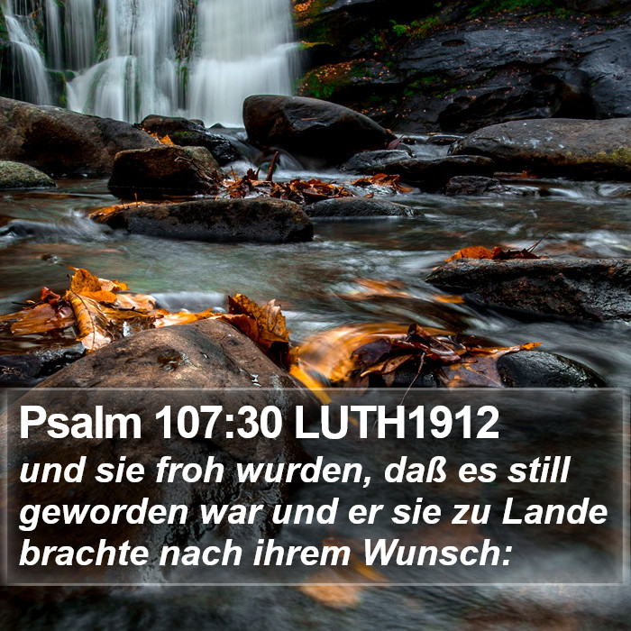 Psalm 107:30 LUTH1912 - und sie froh wurden, daß es still geworden war
