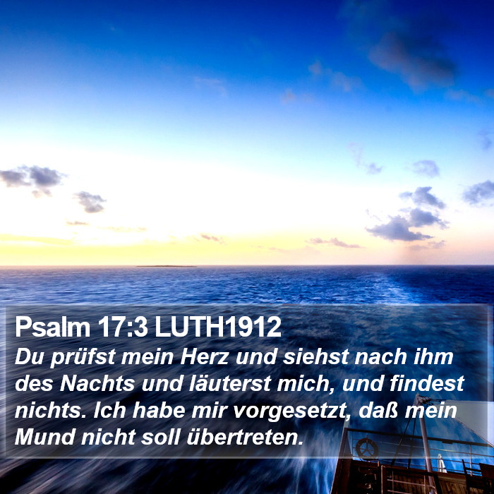 Psalm 17:3 LUTH1912 - Du prüfst mein Herz und siehst nach ihm des