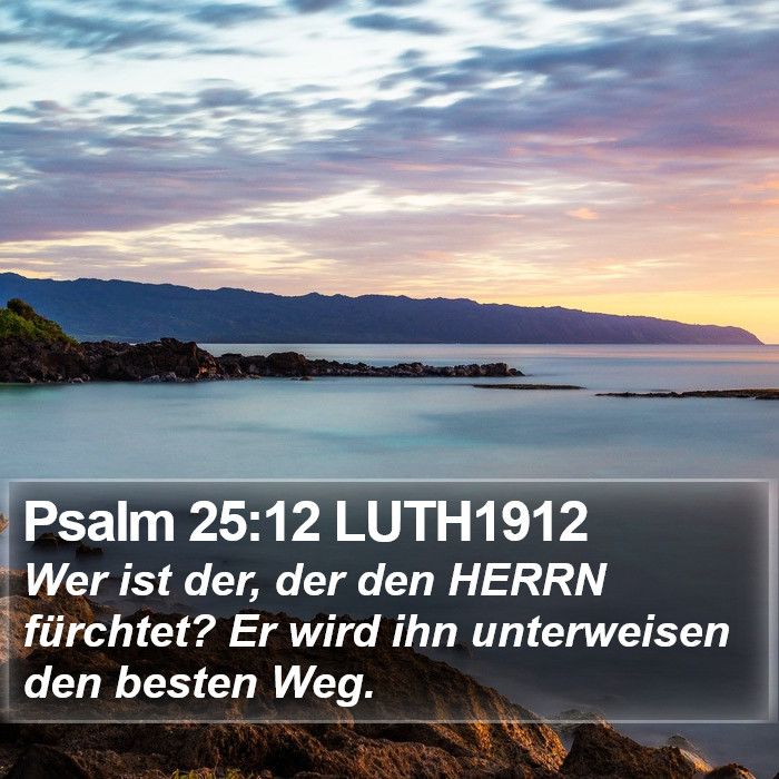 Psalm 25:12 LUTH1912 - Wer ist der, der den HERRN fürchtet? Er wird ihn