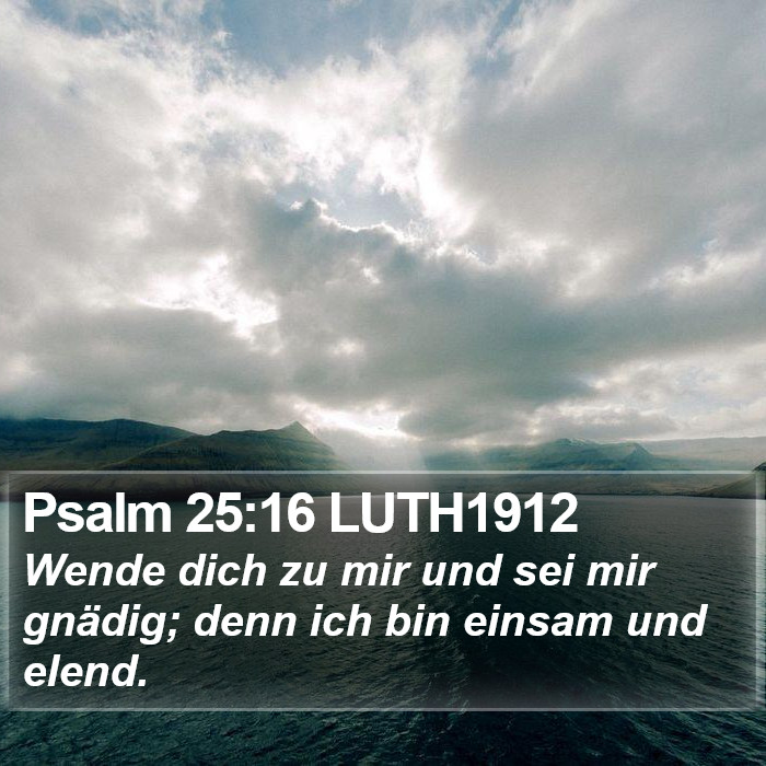 Psalm 25:16 LUTH1912 - Wende dich zu mir und sei mir gnädig; denn ich