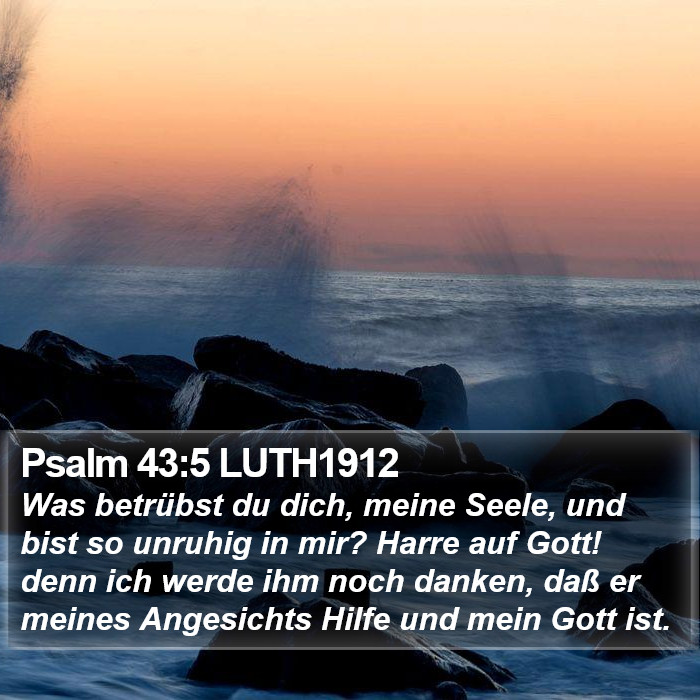 Psalm 43 Bible Images - Psalm Chapter 43 LUTH1912 Bible Verse Pictures