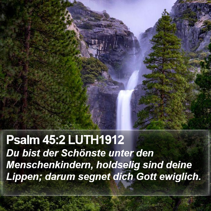 Psalm 45:2 LUTH1912 - Du bist der Schönste unter den Menschenkindern,