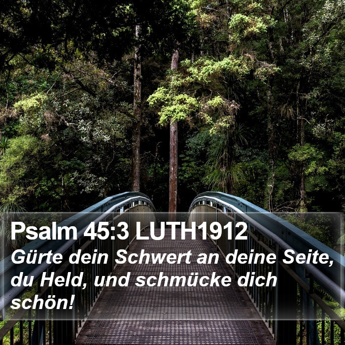 Psalm 45:3 LUTH1912 - Gürte dein Schwert an deine Seite, du Held, und