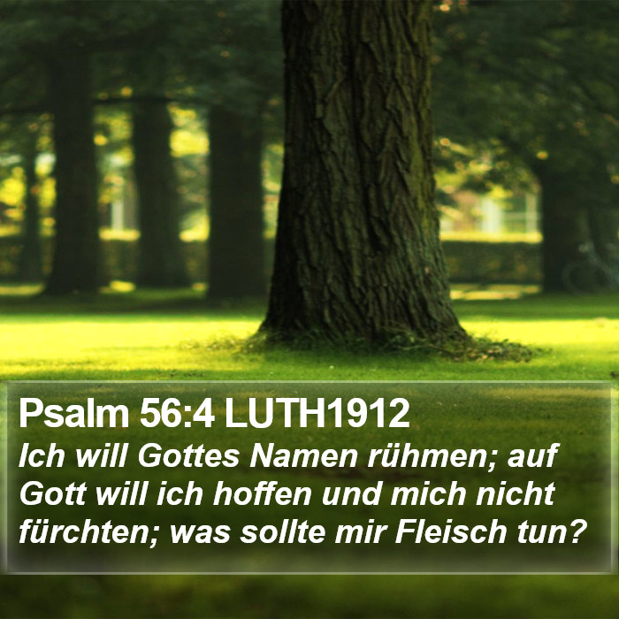 Psalm 56:4 LUTH1912 - Ich will Gottes Namen rühmen; auf Gott will ich