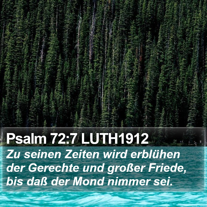 Psalm 72:7 LUTH1912 - Zu seinen Zeiten wird erblühen der Gerechte und