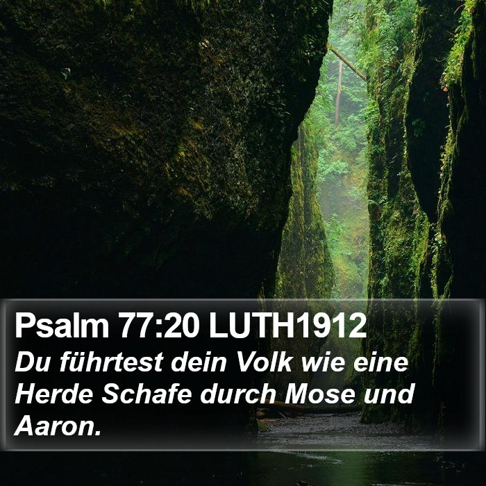 Psalm 77 Bible Images - Psalm Chapter 77 LUTH1912 Bible Verse Pictures