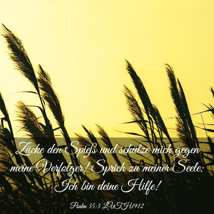 Psalm 35:3 LUTH1912 - Zücke den Spieß und schütze mich gegen meine